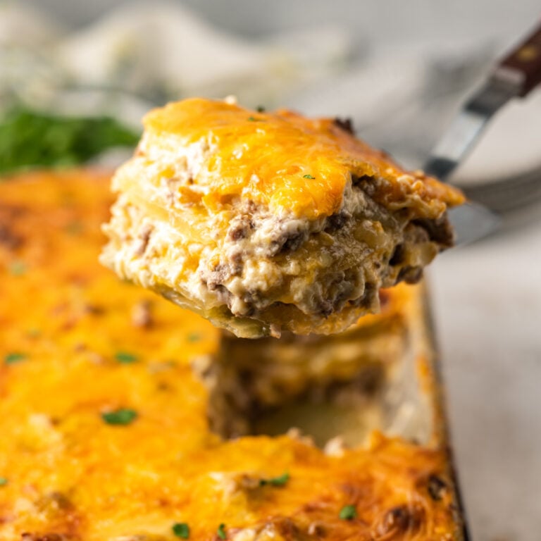 Kid Friendly Ground Beef Recipes - Kitchen Divas