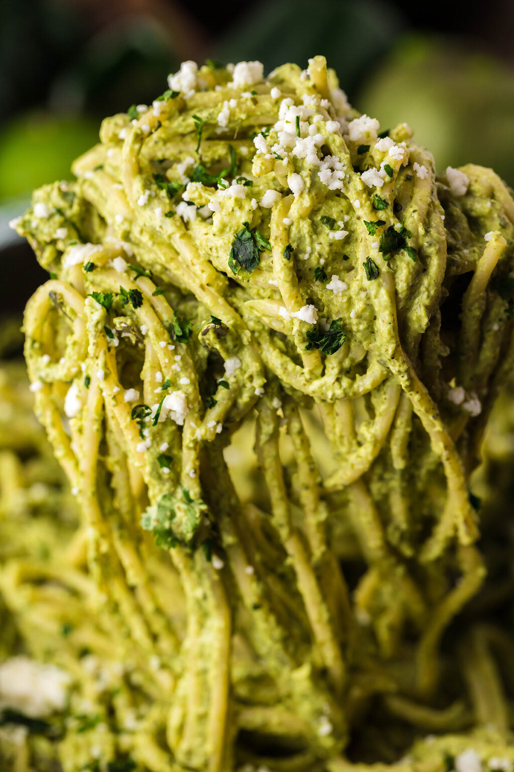 Spaghetti Verde Pasta - Kitchen Divas