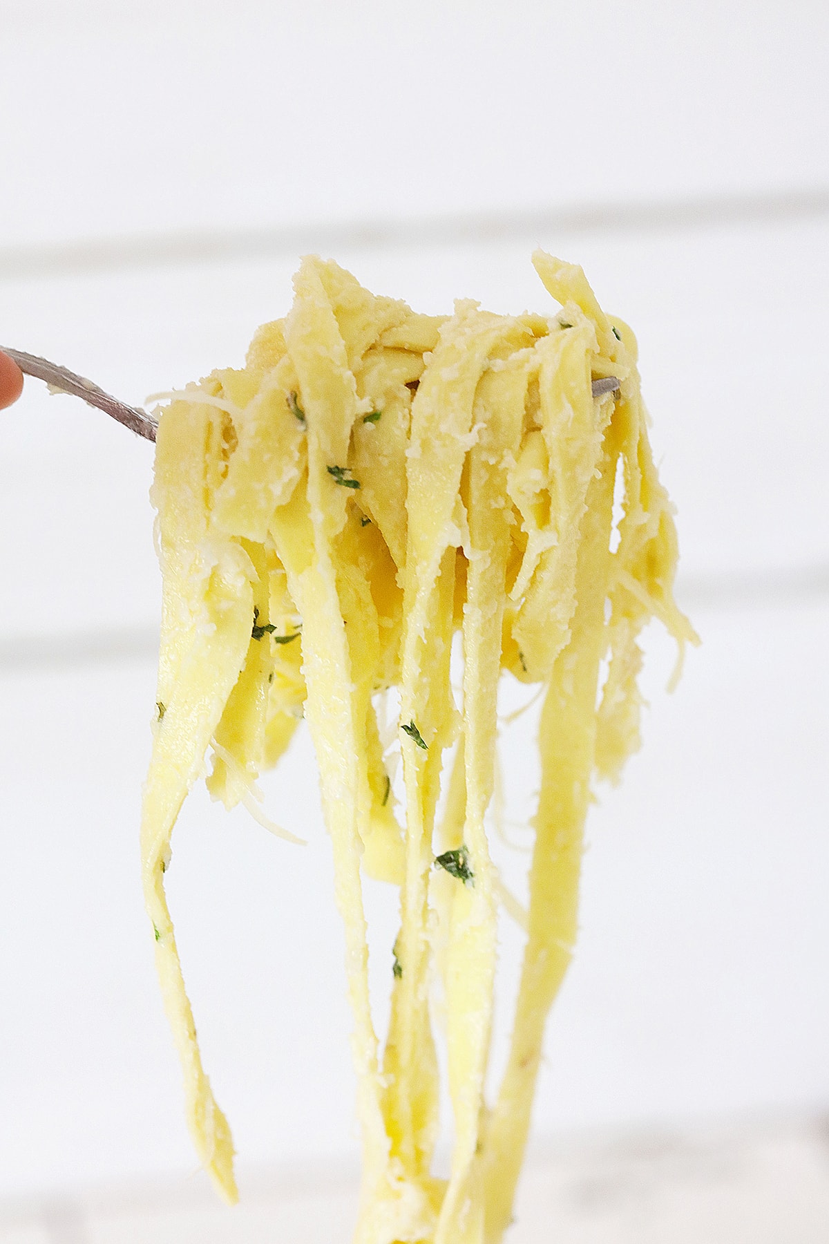 Summer Alfredo Pasta Recipe - Kitchen Divas