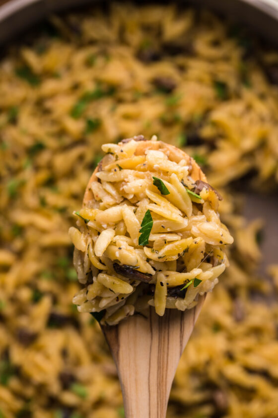 Risotto Pasta - Kitchen Divas