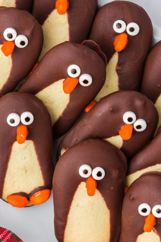 Penguin Cookies - Kitchen Divas