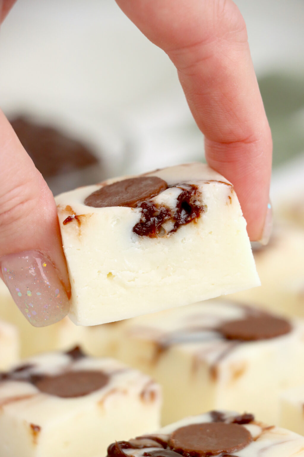 Moose Tracks Fudge - Kitchen Divas