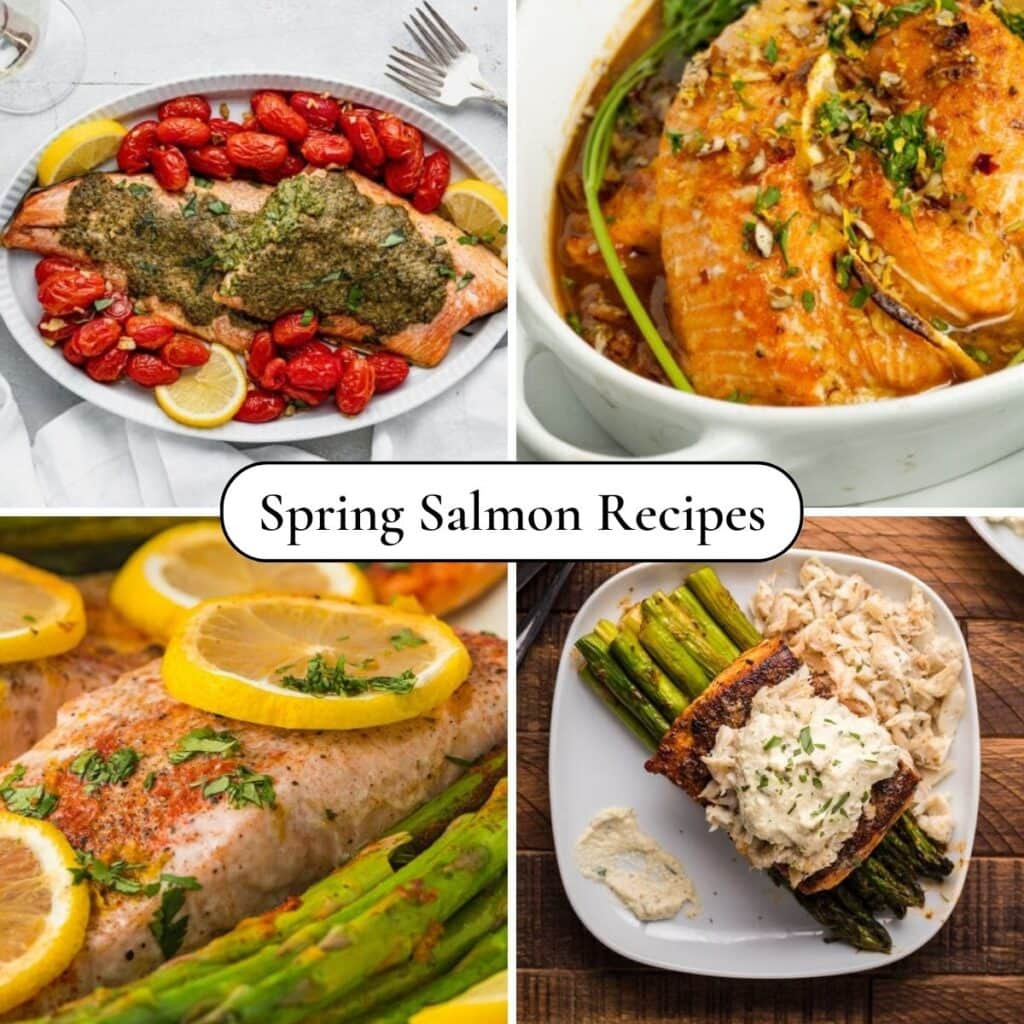 Air Fryer Teriyaki Salmon - Kitchen Divas