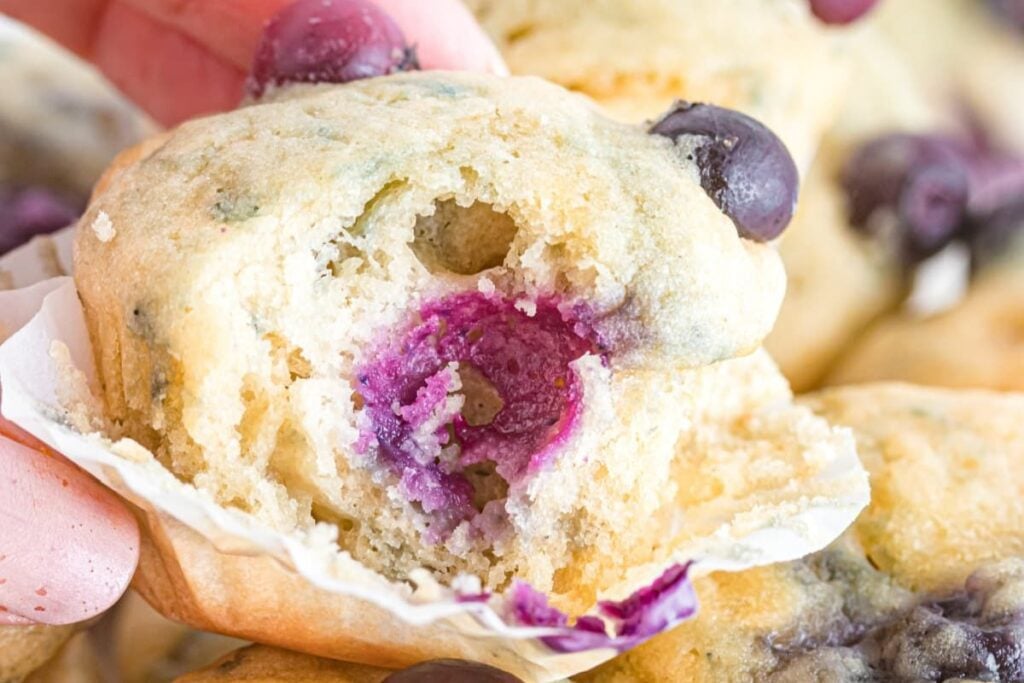 22 Blueberry Recipes You Have to Try - Kitchen Divas
