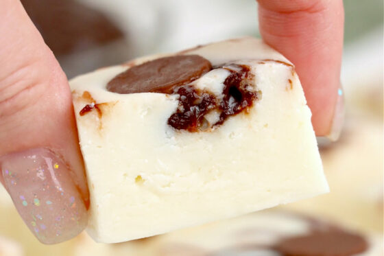 27 Condensed Milk Fudge Recipes for Easy, Delicious Holiday Treats ...