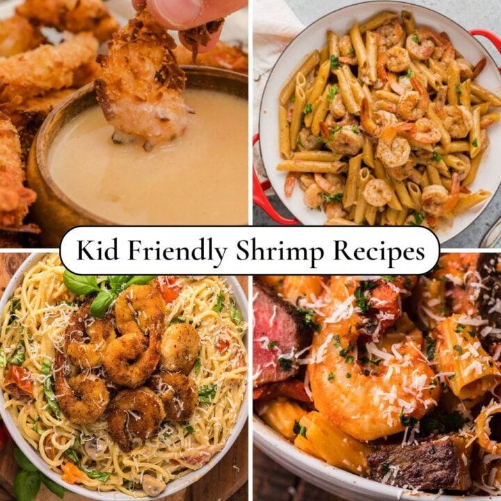 Kid Friendly Shrimp Recipes - Kitchen Divas