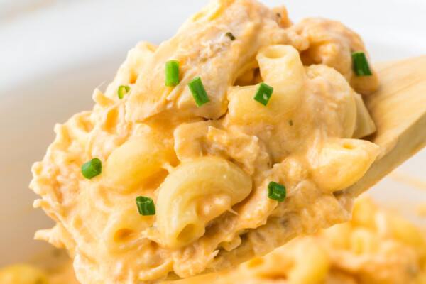 75 Chicken Breast Recipes That Elevate the Humble Chicken Breast ...