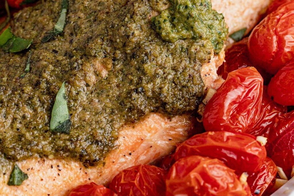 39 Sensational Salmon Recipes You Need to Try - Kitchen Divas