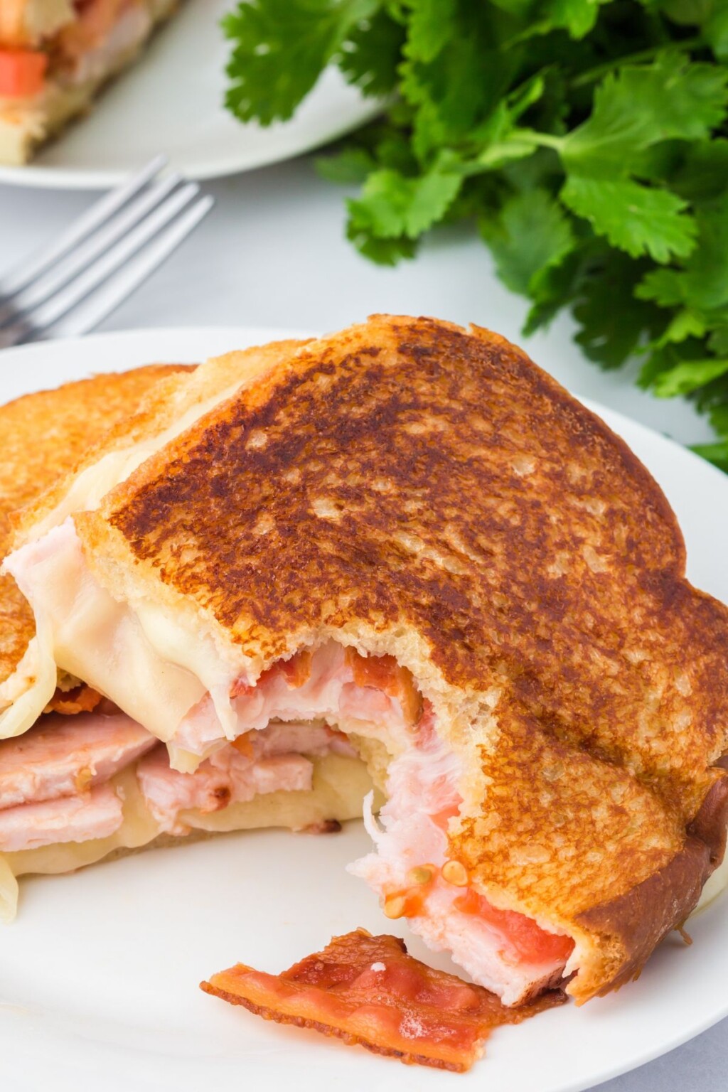Turkey Melt - Kitchen Divas